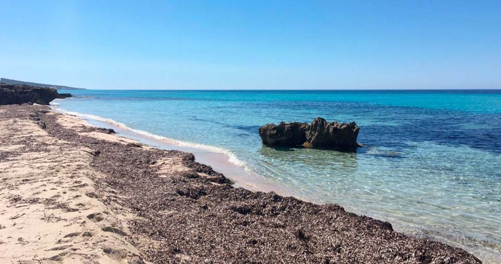 Playa Es Codol Foradat beach - purenatureibiza